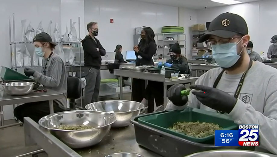 Boston 25 NEWS : Marijuana in Massachusetts: 5 years later - CommCan