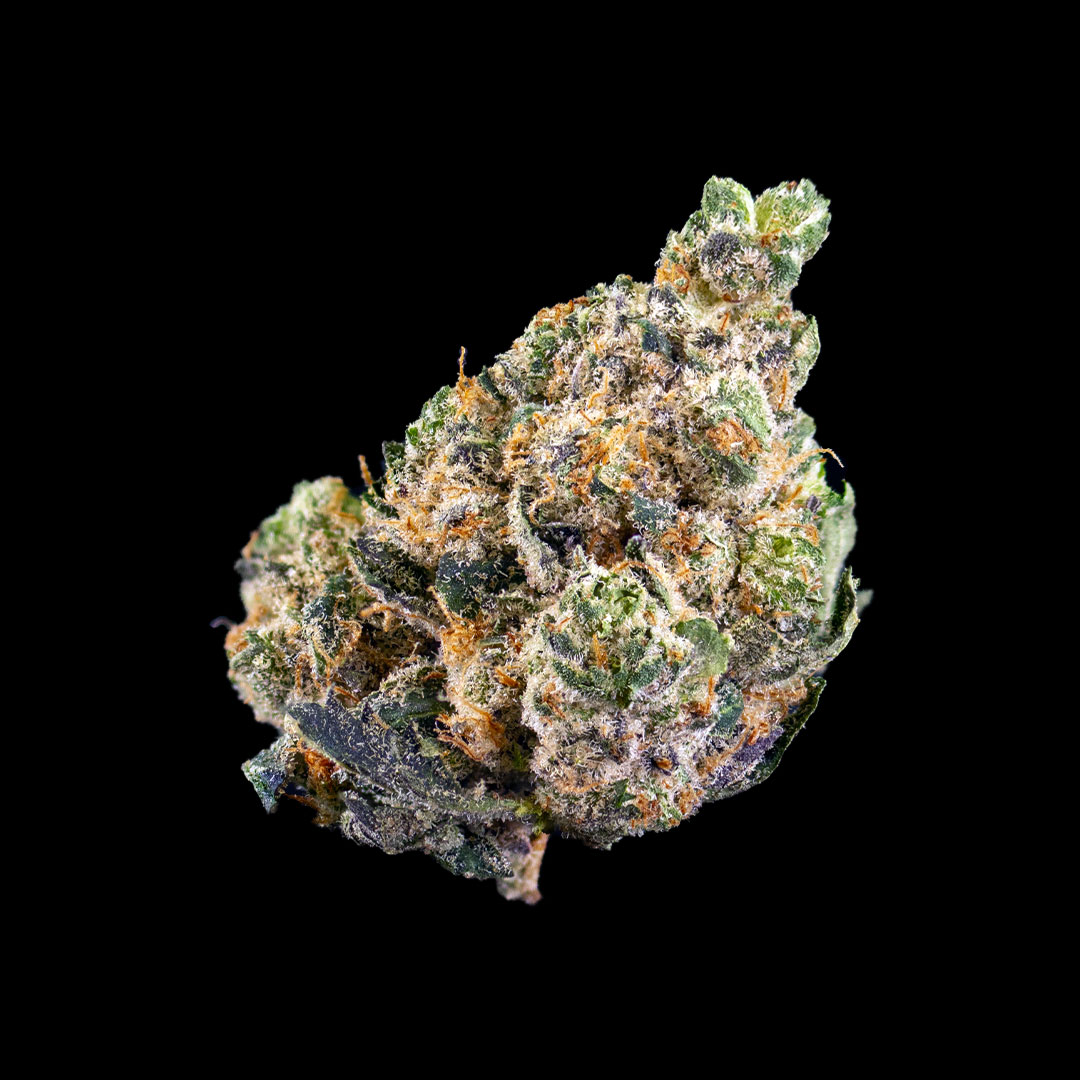 Blue Apricot Sherbert - CommCan