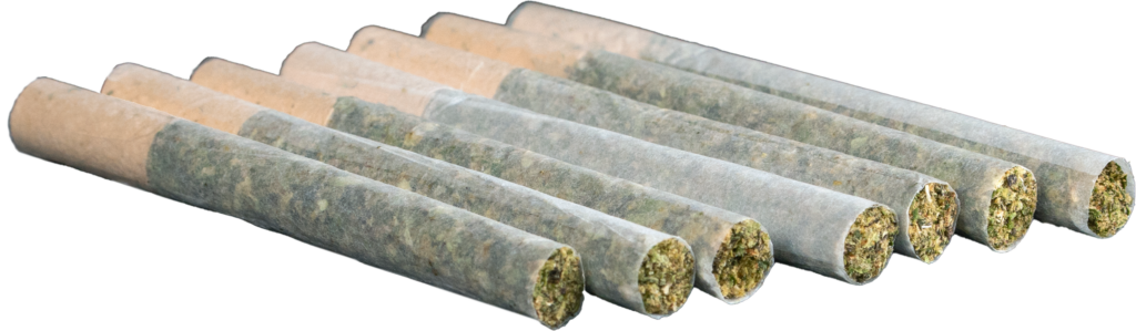 Welcome to CommCan Millis - CommCan