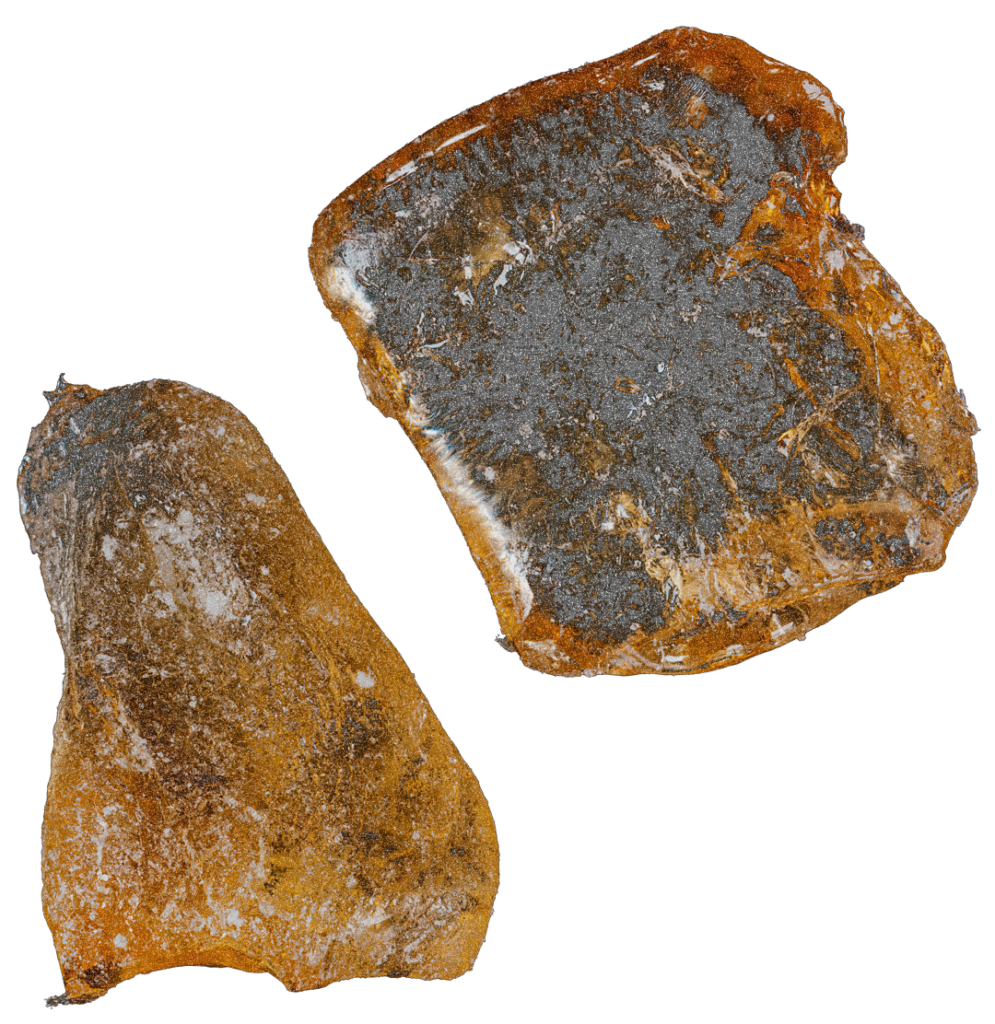 CommCan - Homegrown Cannabis & Edibles in Massachusetts