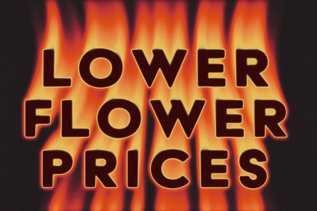 CommCan's New Pricing Strategy: Quality Cannabis for Less